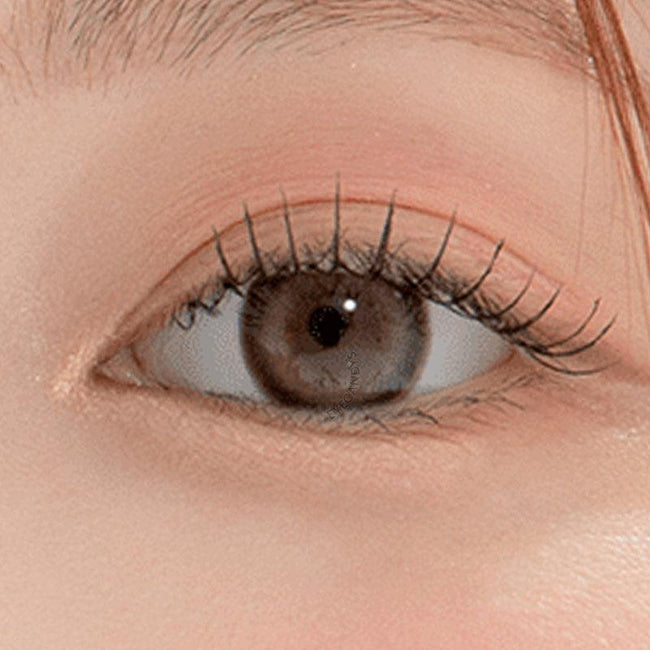 DooNoon Bono Cheese Grey Natural Color Contact Lenses - Korean Circle ...