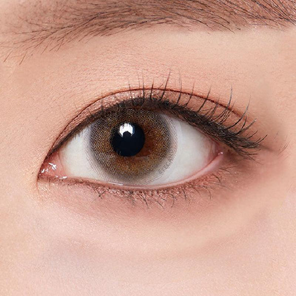 Buy Olola Able Grey Color Contacts | EyeCandys