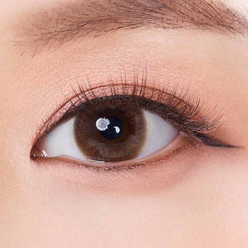 Buy Olola Swany Pure Choco Color Contacts | EyeCandys